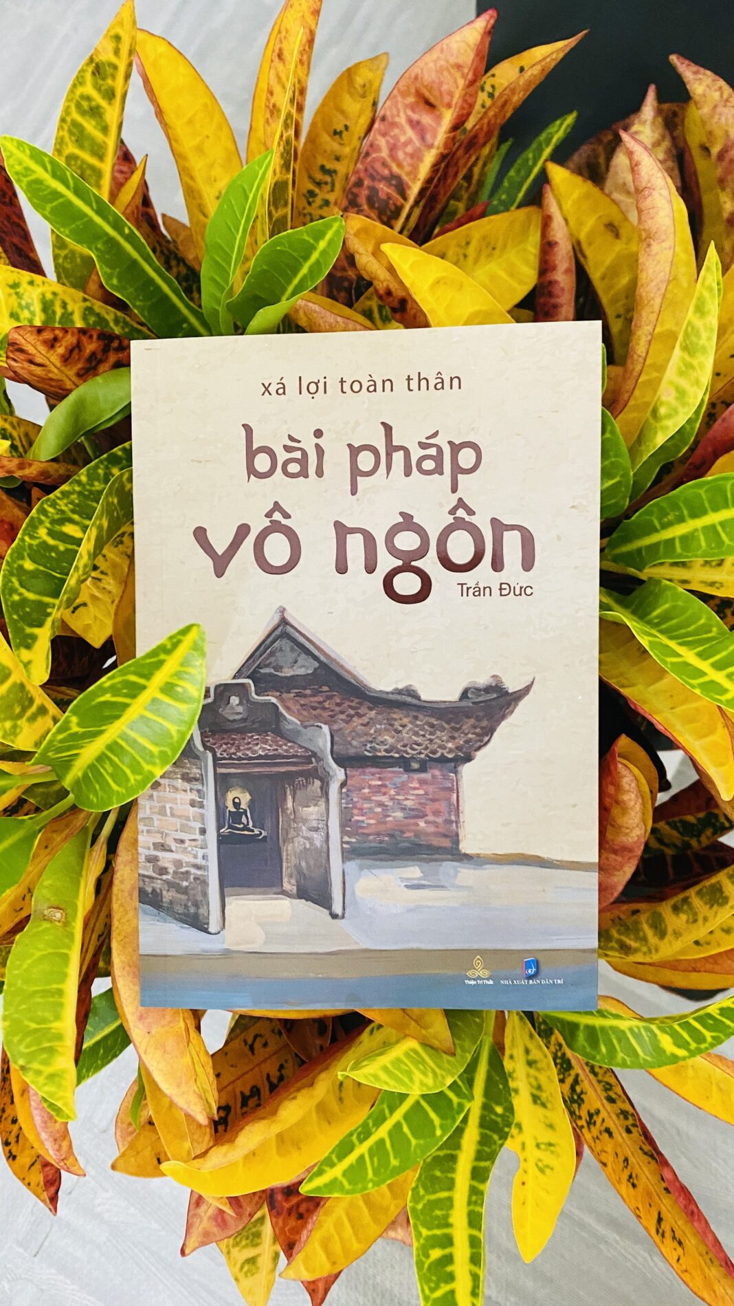 [Review sách] Xá lợi toàn thân - Bài Pháp Vô Ngôn - Điểm sách, Book review